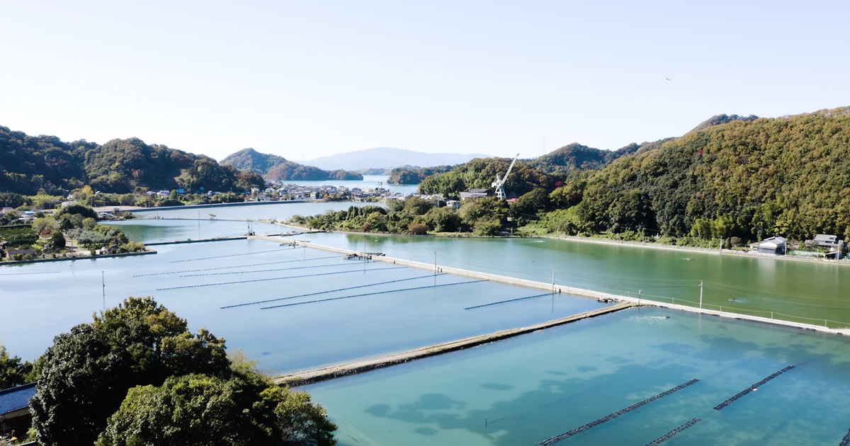 HIROSHIMA Oysters - The Japanese local brand “HIROSHIMA Oysters” to ...